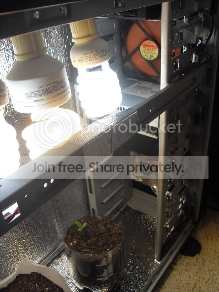 Pc Grow box I built! | Grasscity.forum